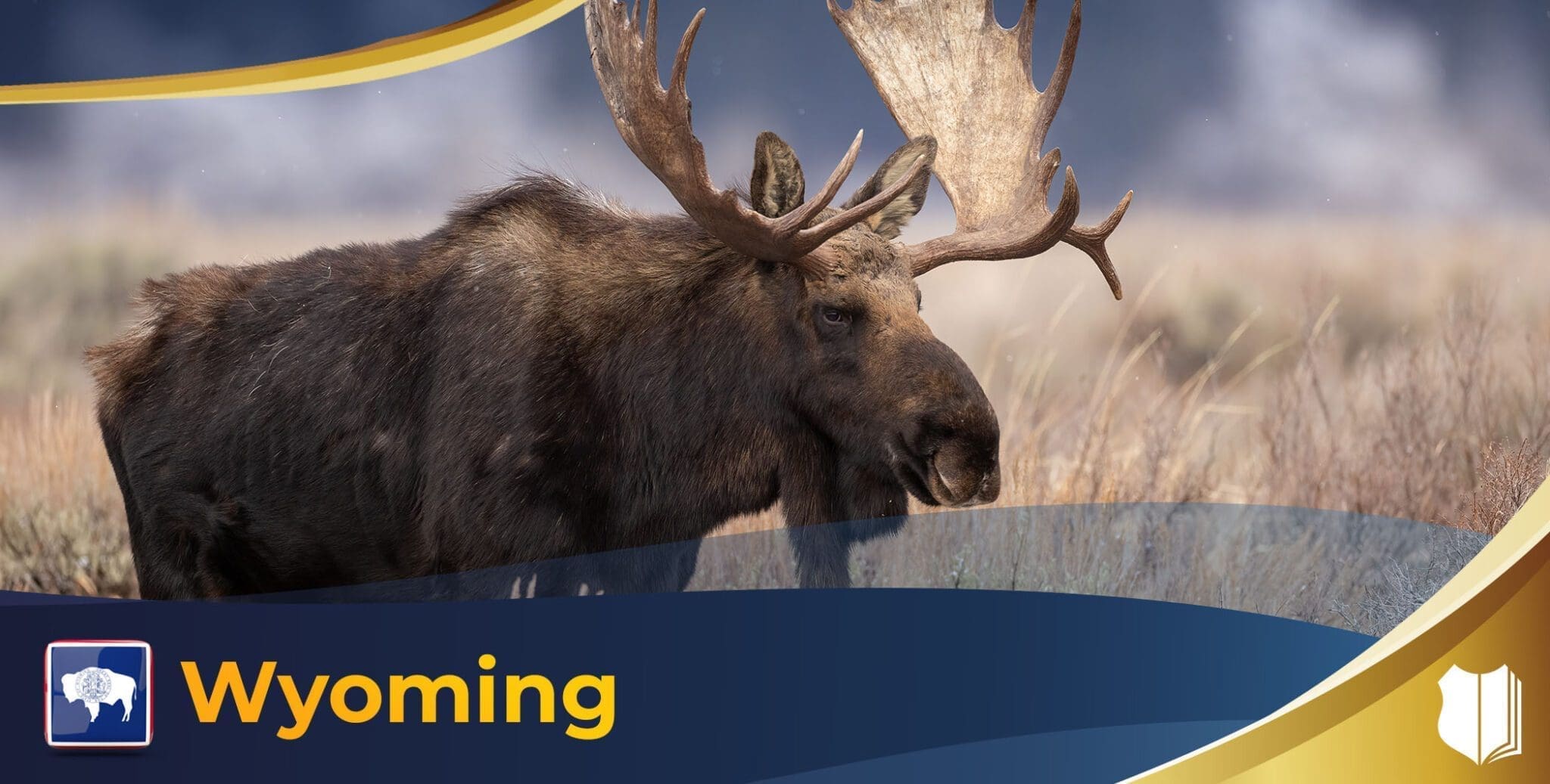 Our Instructors - Blue to Gold - Law Enforcement Training