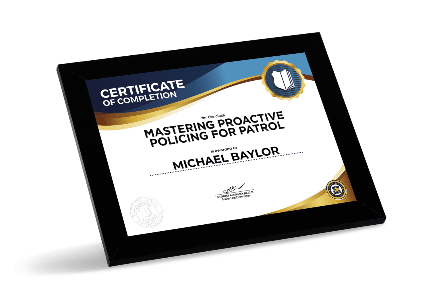 Mastering Proactive Policing for Patrol - Blue to Gold - Law ...