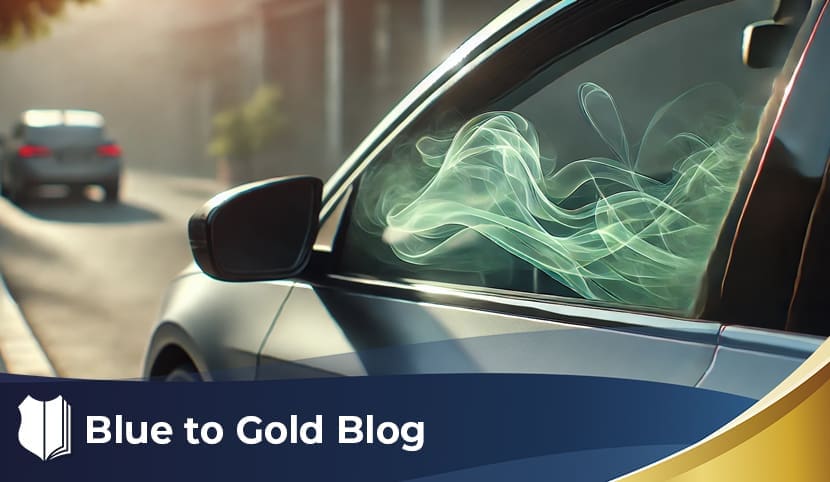 Tell-Tale Tension: Pre-Flight Indicators and Behavioral Cues of ...